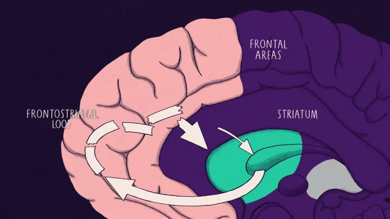 » Simple vs Complex Brain Games How They Affect Your Brain Function
